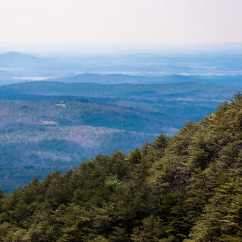 Gallery: Alabama | A Different View