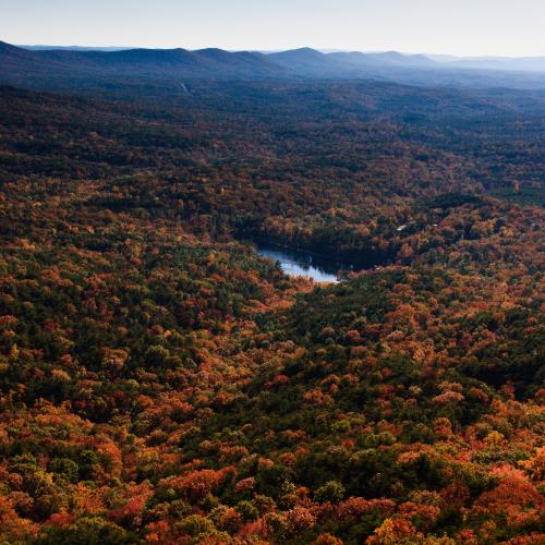 Gallery: Alabama | A Different View