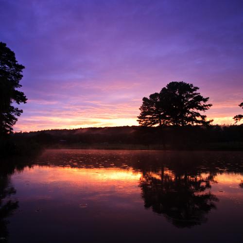 Gallery: Alabama | A Different View