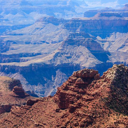 Gallery: Nature | A Different View