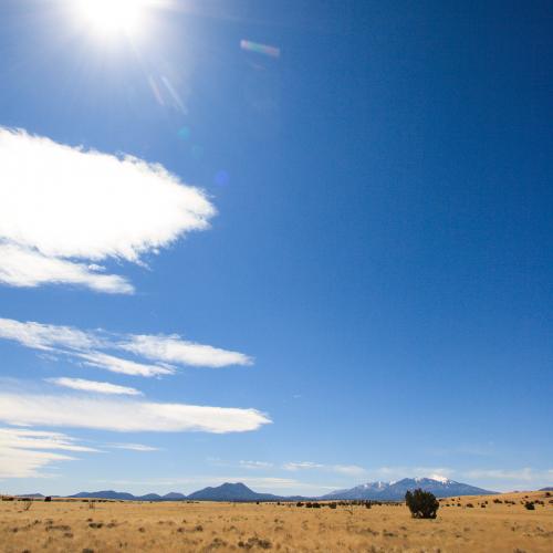 Gallery: Nature | A Different View