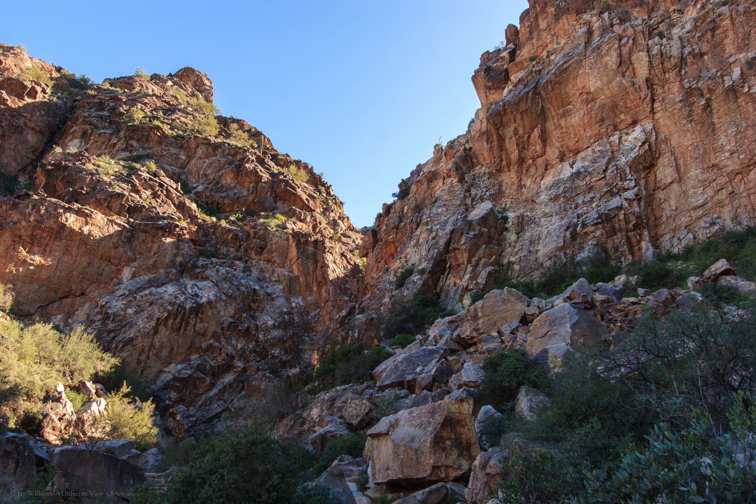 White Tank | A Different View